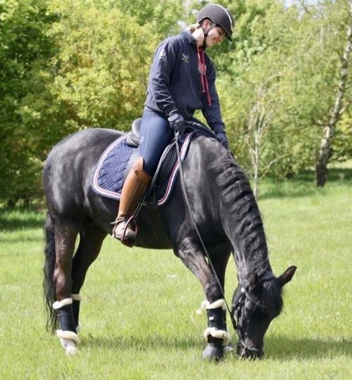 About Sheepgate - Sheepgate Equestrian